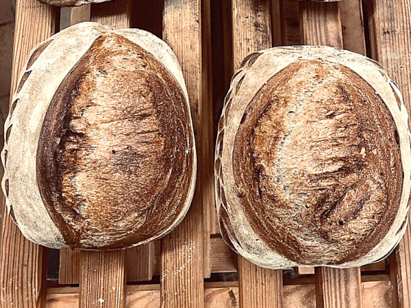 Mikro-Bäckereien in Bern - Bärner Meitschi