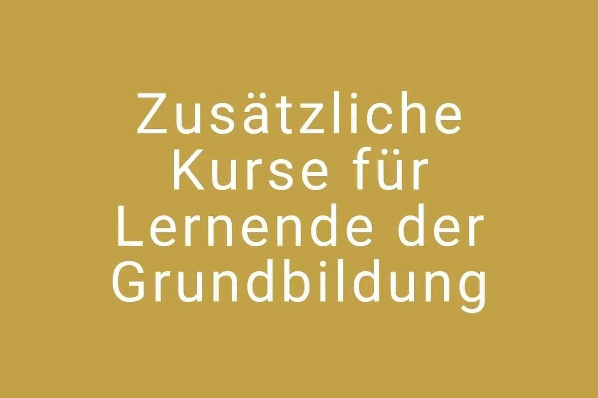 Zusätzliche Kurse für Lernende der Grundbildung - BFB - Bildung ...