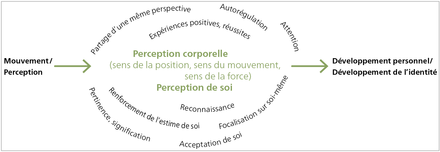 Perception par le mouvement: Entraîner la perception » mobilesport.ch