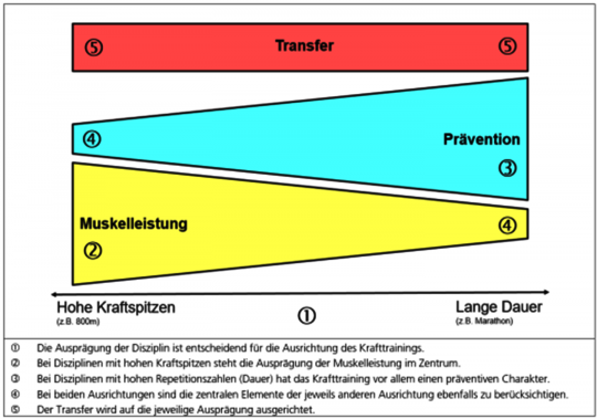 Athletik – Krafttraining in Ausdauersportarten: Alles «Kraftausdauer ...