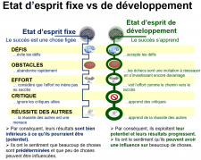 Leadership: Etat d’esprit (mentalité) – Effort, volonté et pratique ...