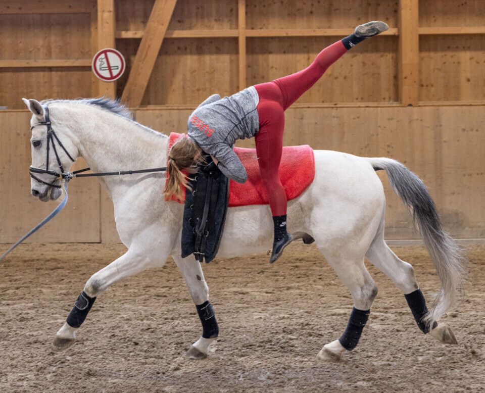 Voltige – Formes d’entraînement pour les formes caractéristiques: Monter sur le cheval et en ...