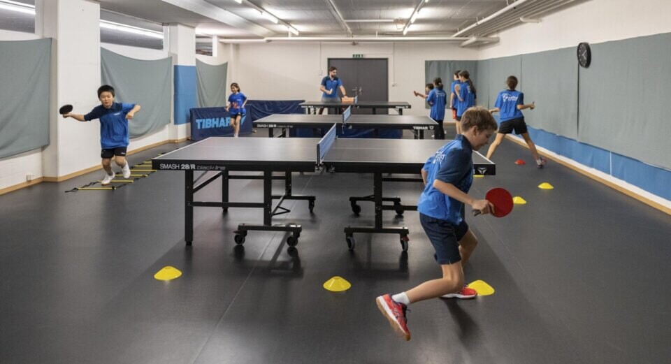 Tennis de table – Formes d’entraînement des formes caractéristiques: Se ...