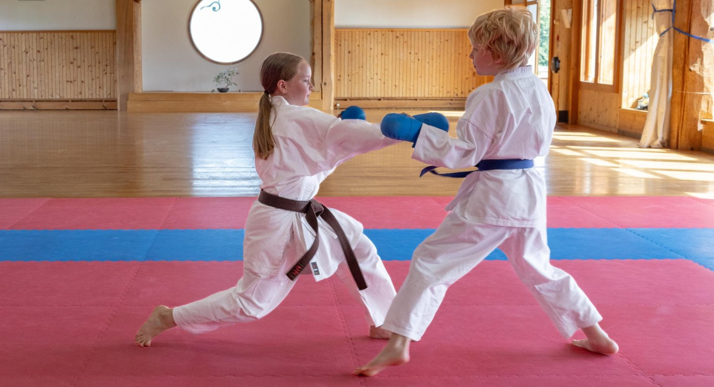 Karate – Flink und stabil die Distanz zur Gegnerin oder zum Gegner vorteilhaft verändern: Kumite ...