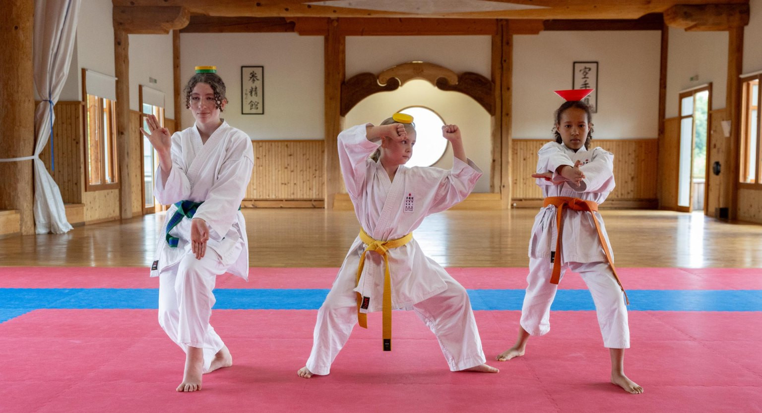 Karate – Innere Balance und dynamisches Bewegen optimal in Einklang ...