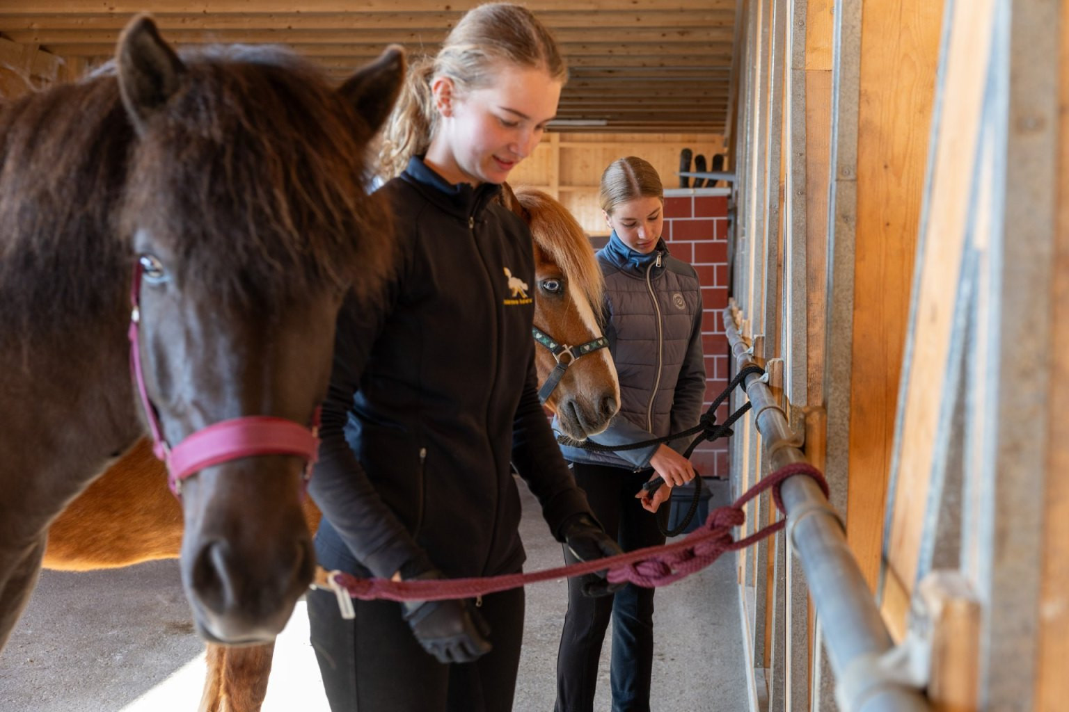 Reiten – 1. Einen sicheren, respekt- und vertrauensvollen Umgang mit ...