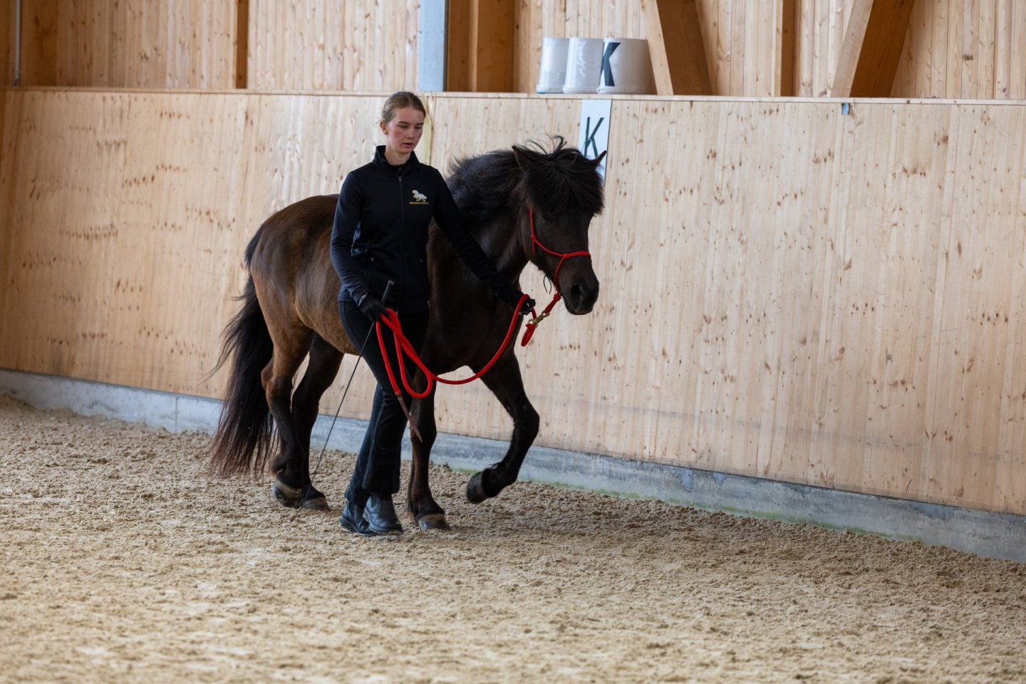 Reiten – 1. Einen sicheren, respekt- und vertrauensvollen Umgang mit ...