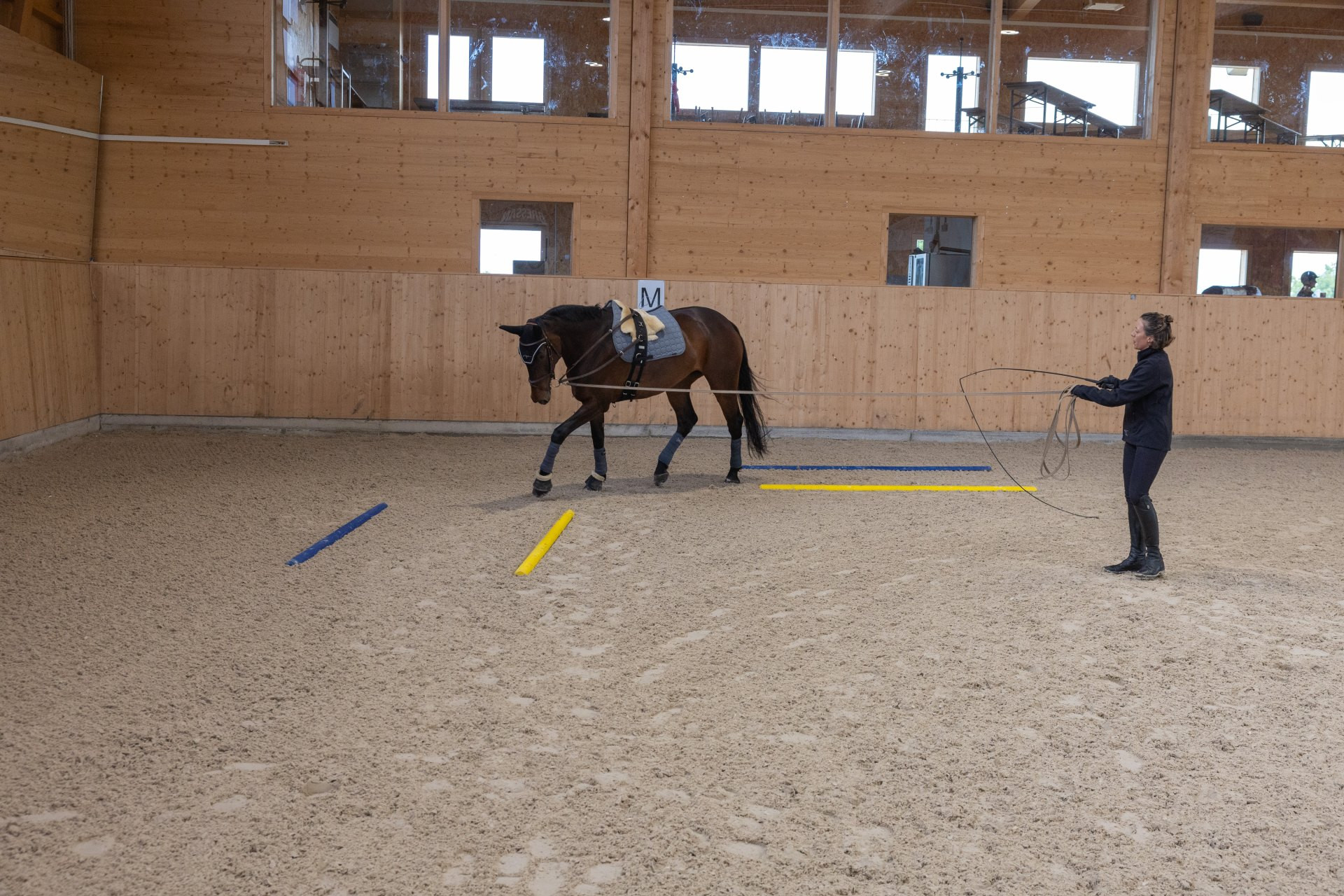 Reiten – 7. Das Pferd vielseitig und gesunderhaltend trainieren ...