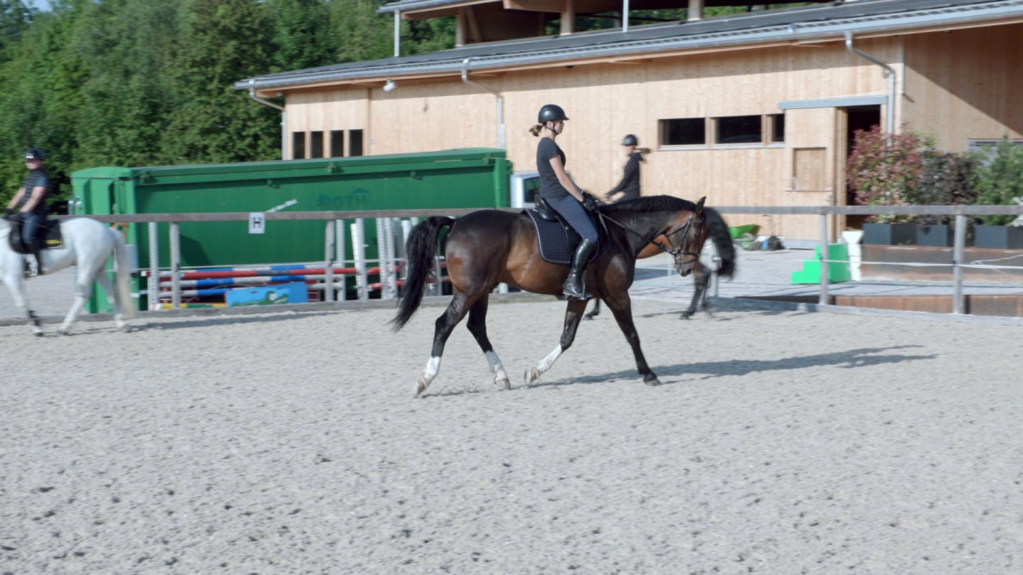 Reiten – Trainingsformen: 7. Das Pferd vielseitig und gesunderhaltend ...