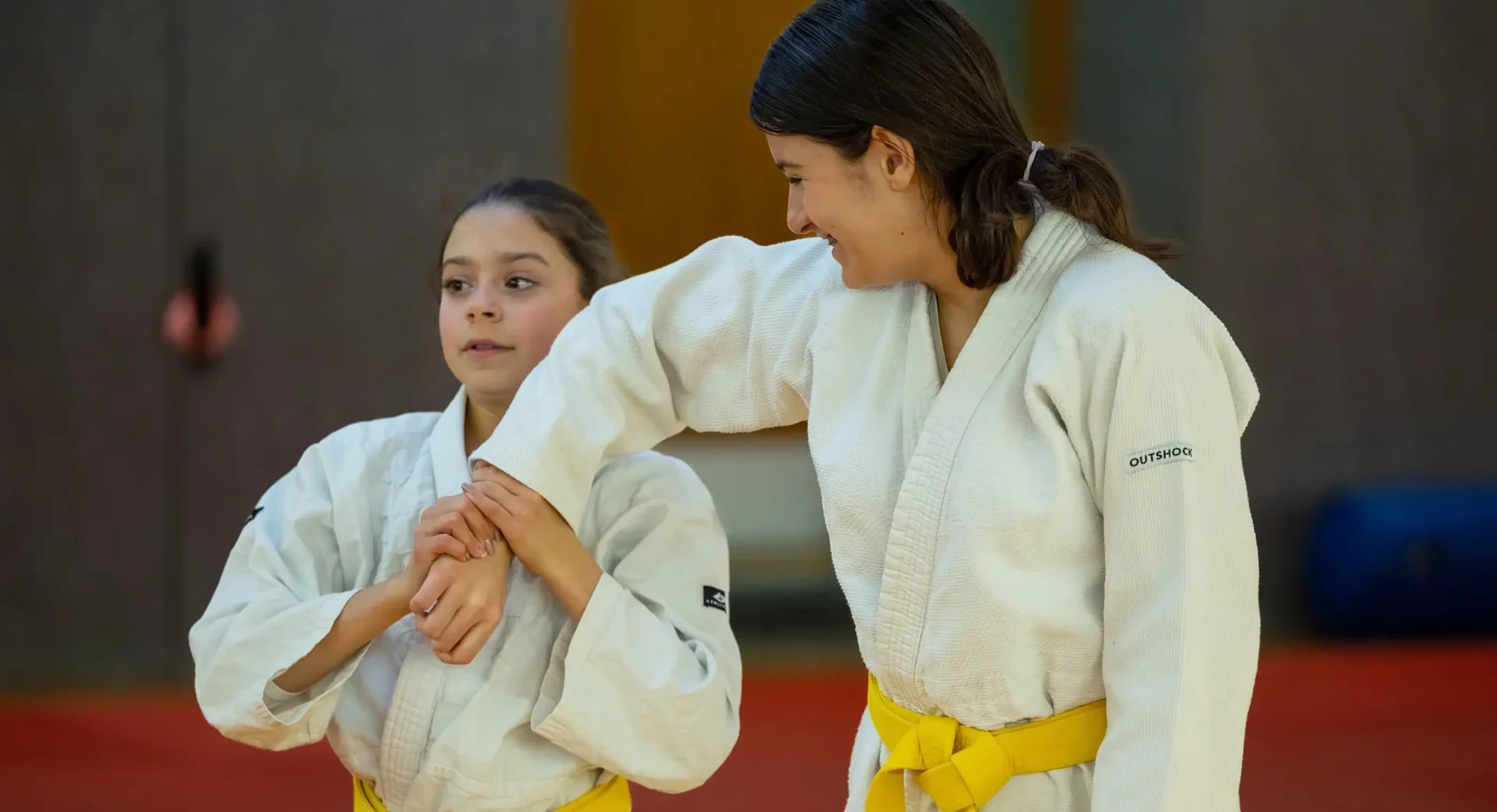 Ju-jitsu – Se défendre habilement face à un ou plusieurs adversaires ...