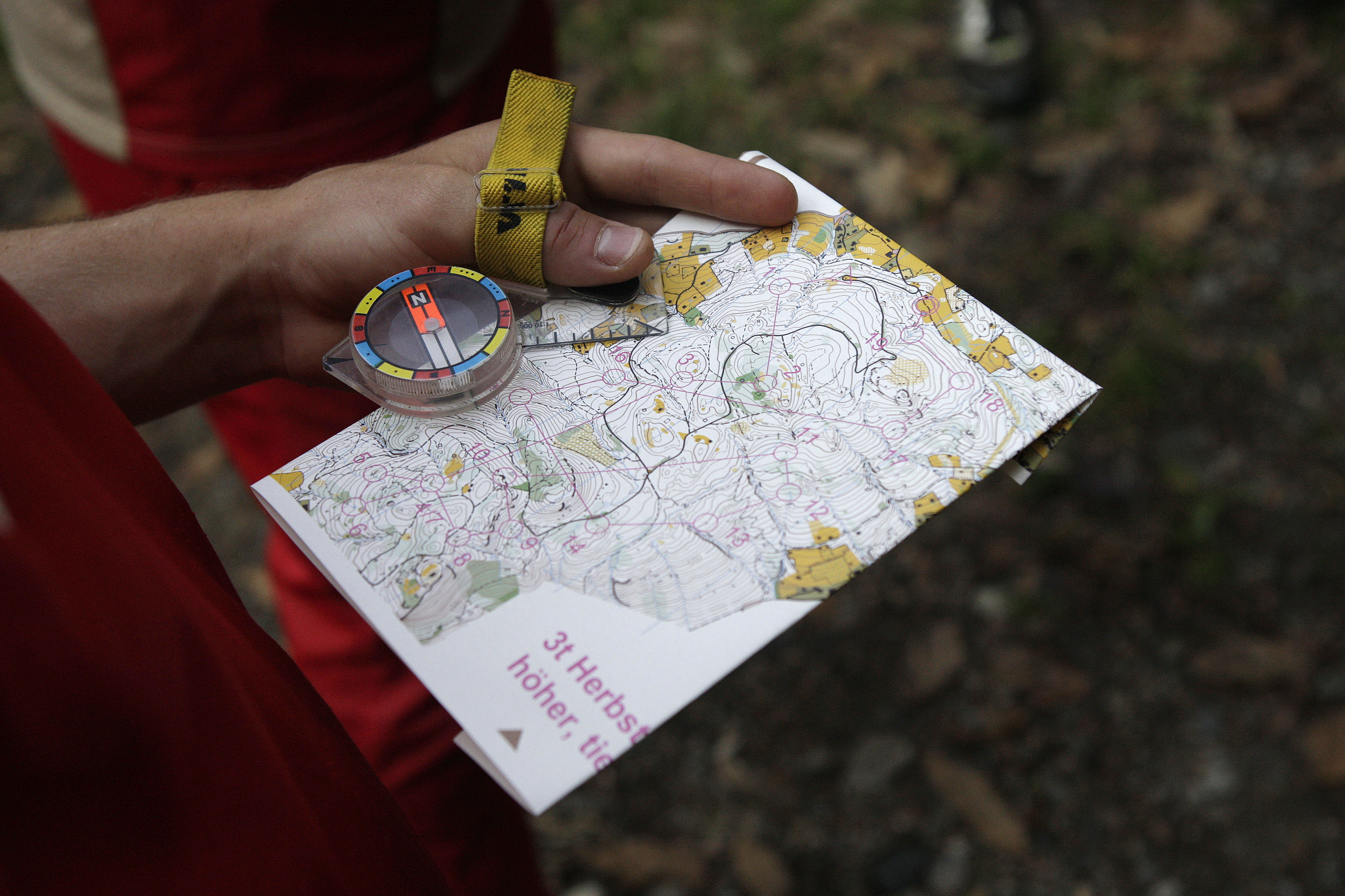 Orientierungslauf: In der Gruppe und alleine » mobilesport.ch