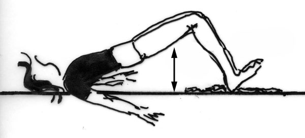 Exercice De Pont Fessier