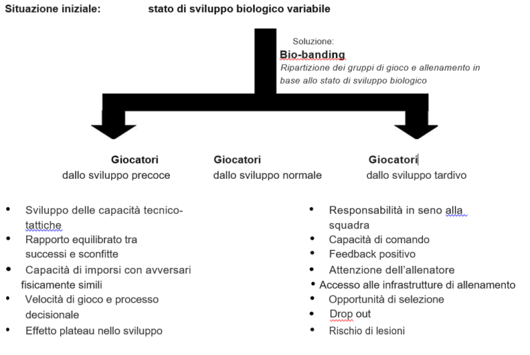 Bio-Banding: Come migliorare lo sviluppo dei talenti nelle giovani leve ...