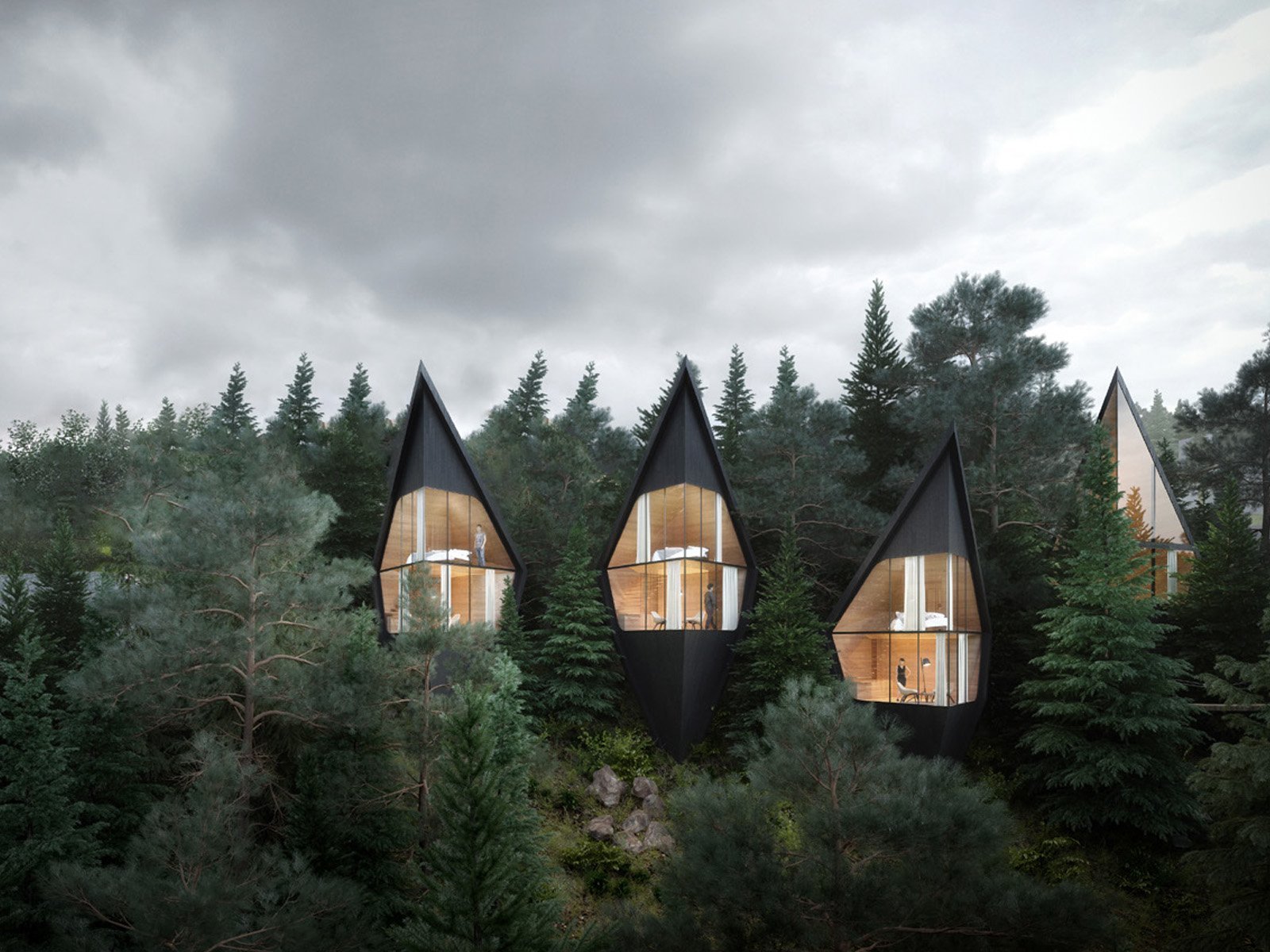 «Tree Houses»