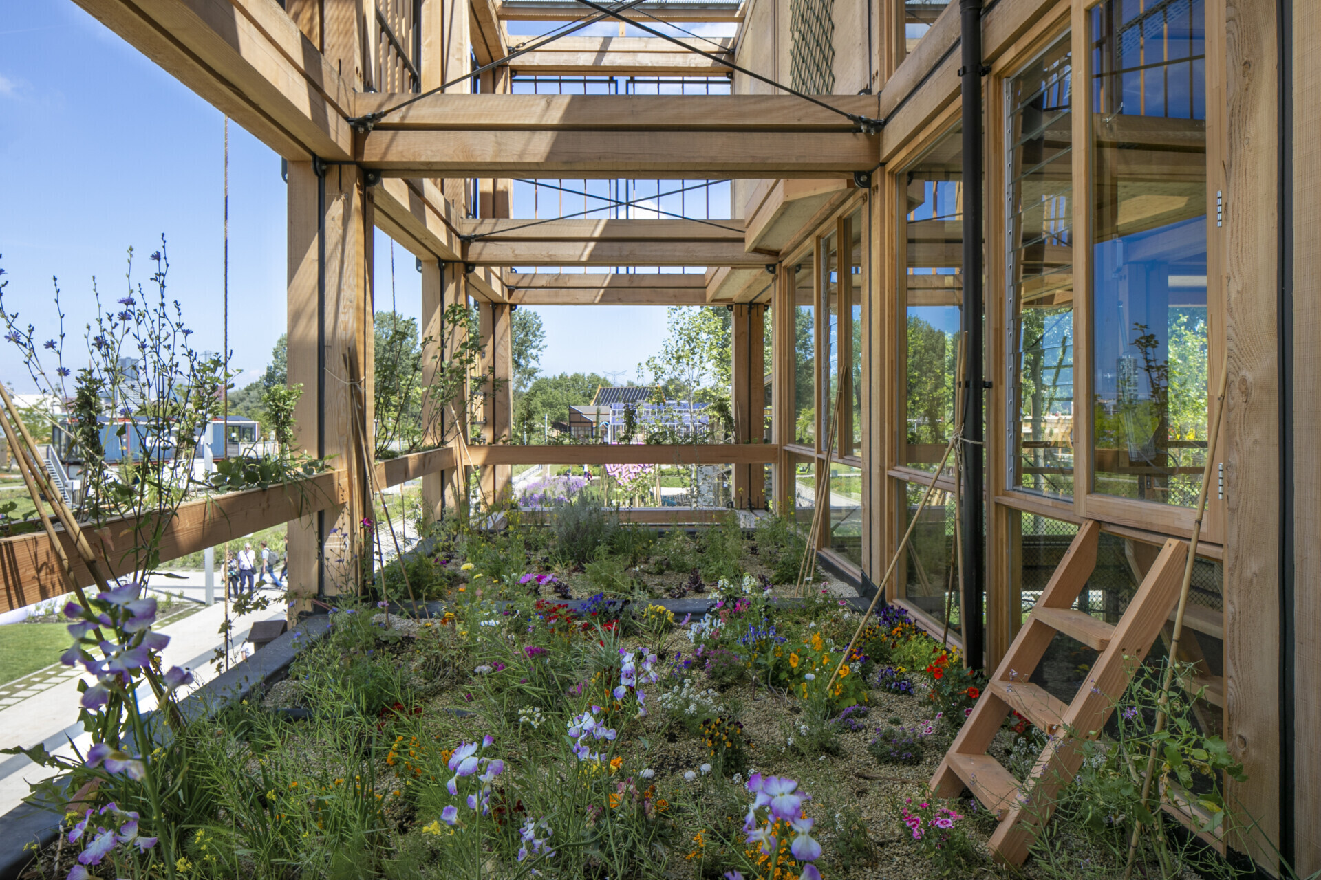 Un pavillon dans une mer de fleurs