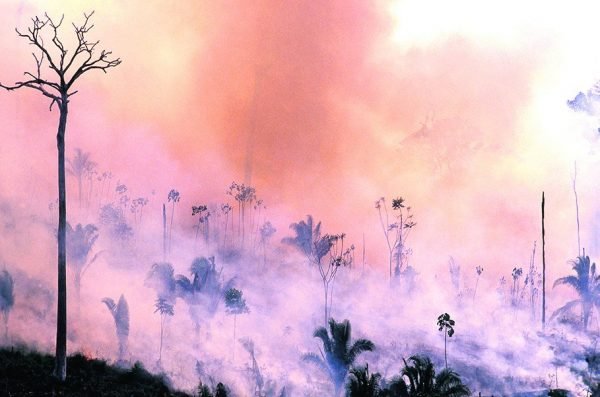 Der Amazonas brennt » workzeitung.ch